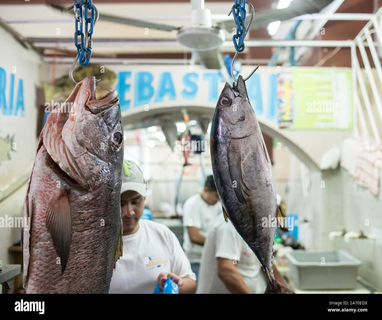 COZUMEL, MEXICO-JANUARY 17, 2019: Unidentified sellers sell fresh fish ...