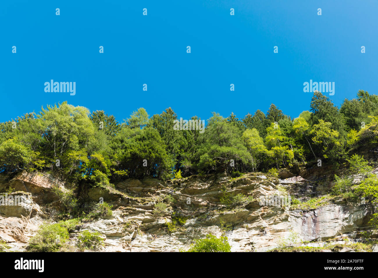 Landscape, forest and blue sky Stock Photo - Alamy