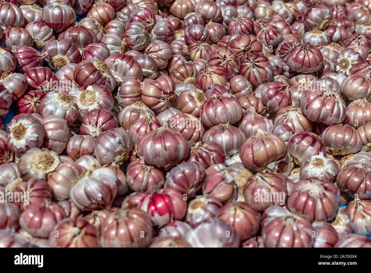 Bunches close up hi-res stock photography and images - Alamy