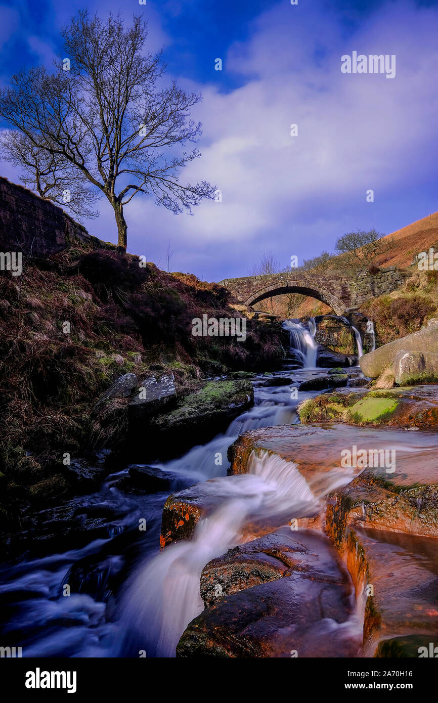 Three Shire Heads Stock Photo - Alamy