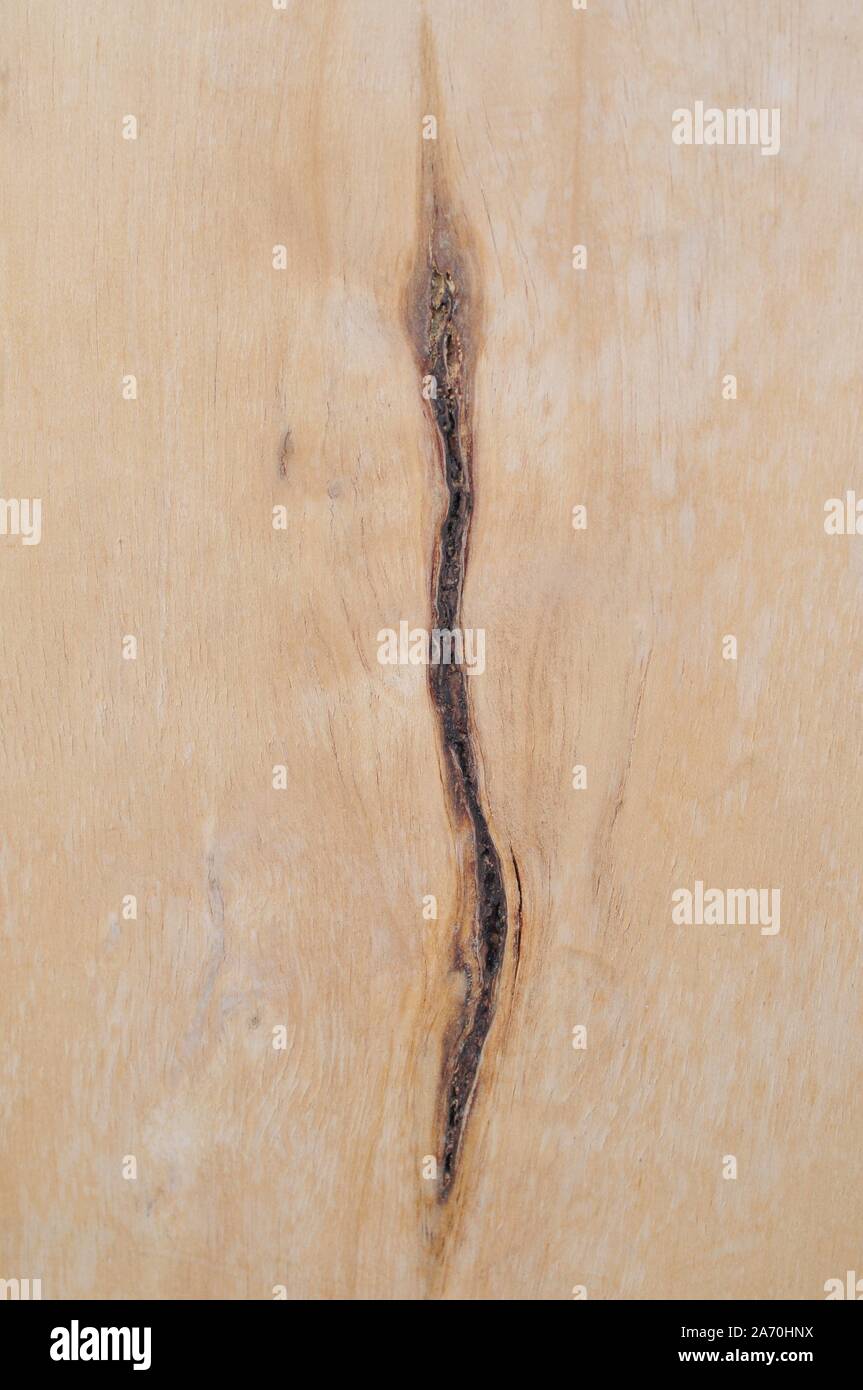 Temporary board hi-res stock photography and images - Alamy