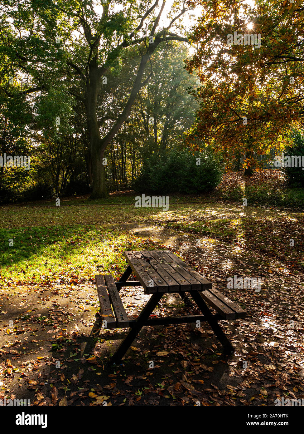 Picnic table park hi-res stock photography and images - Alamy