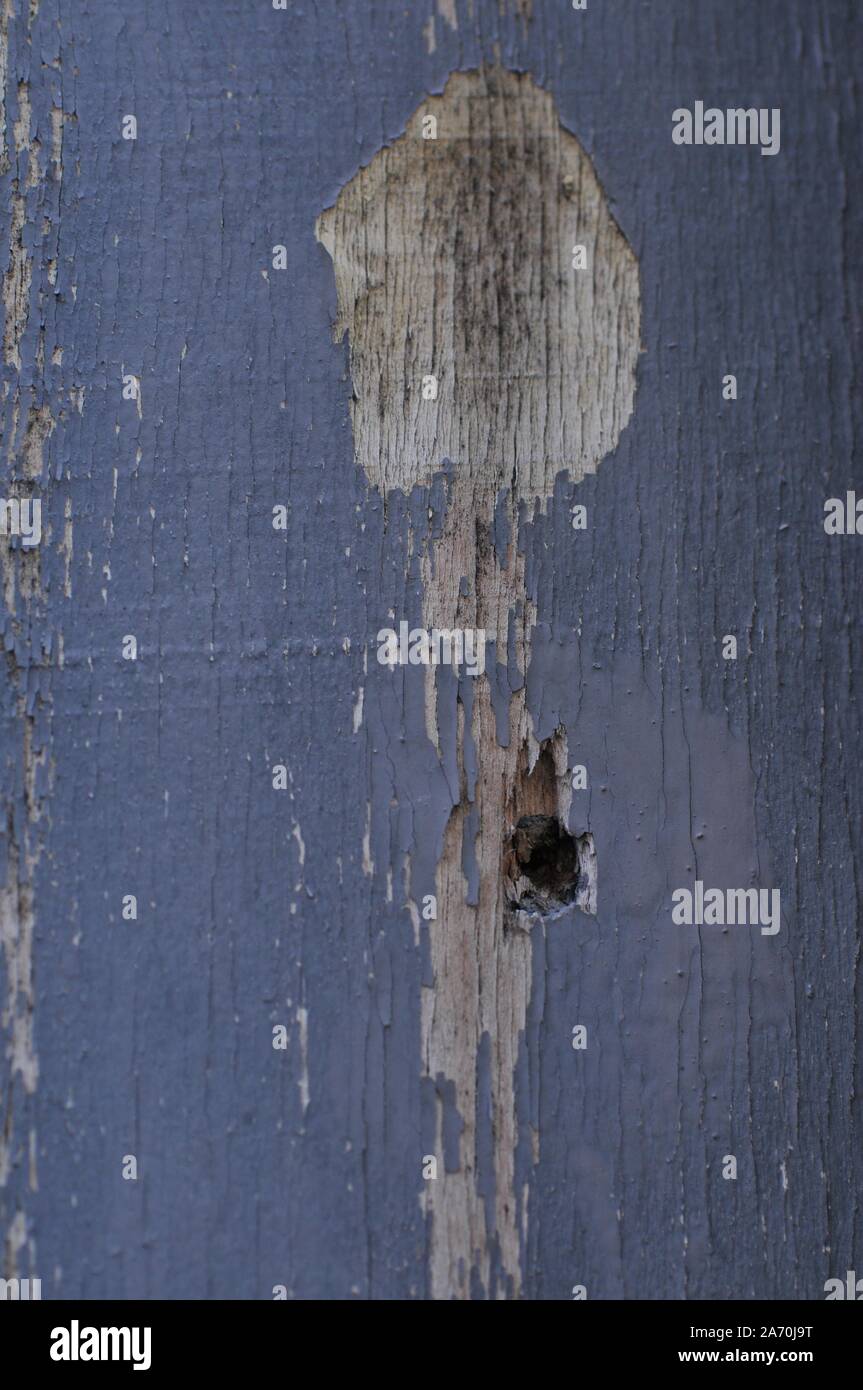 Wood wall damaged hi-res stock photography and images - Alamy