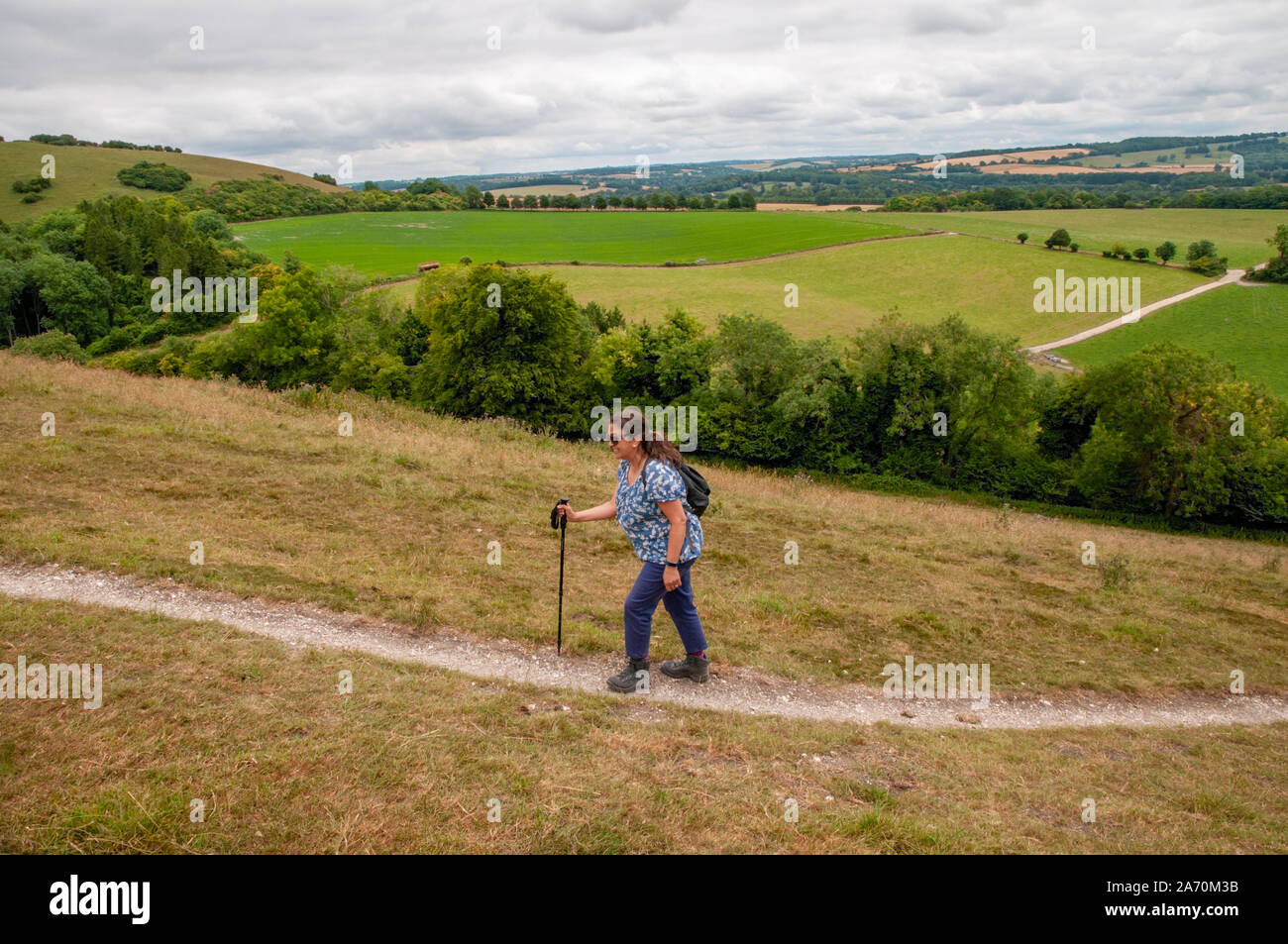 Middle-aged female rambler walking up a steep hillside in the Hampshire ...