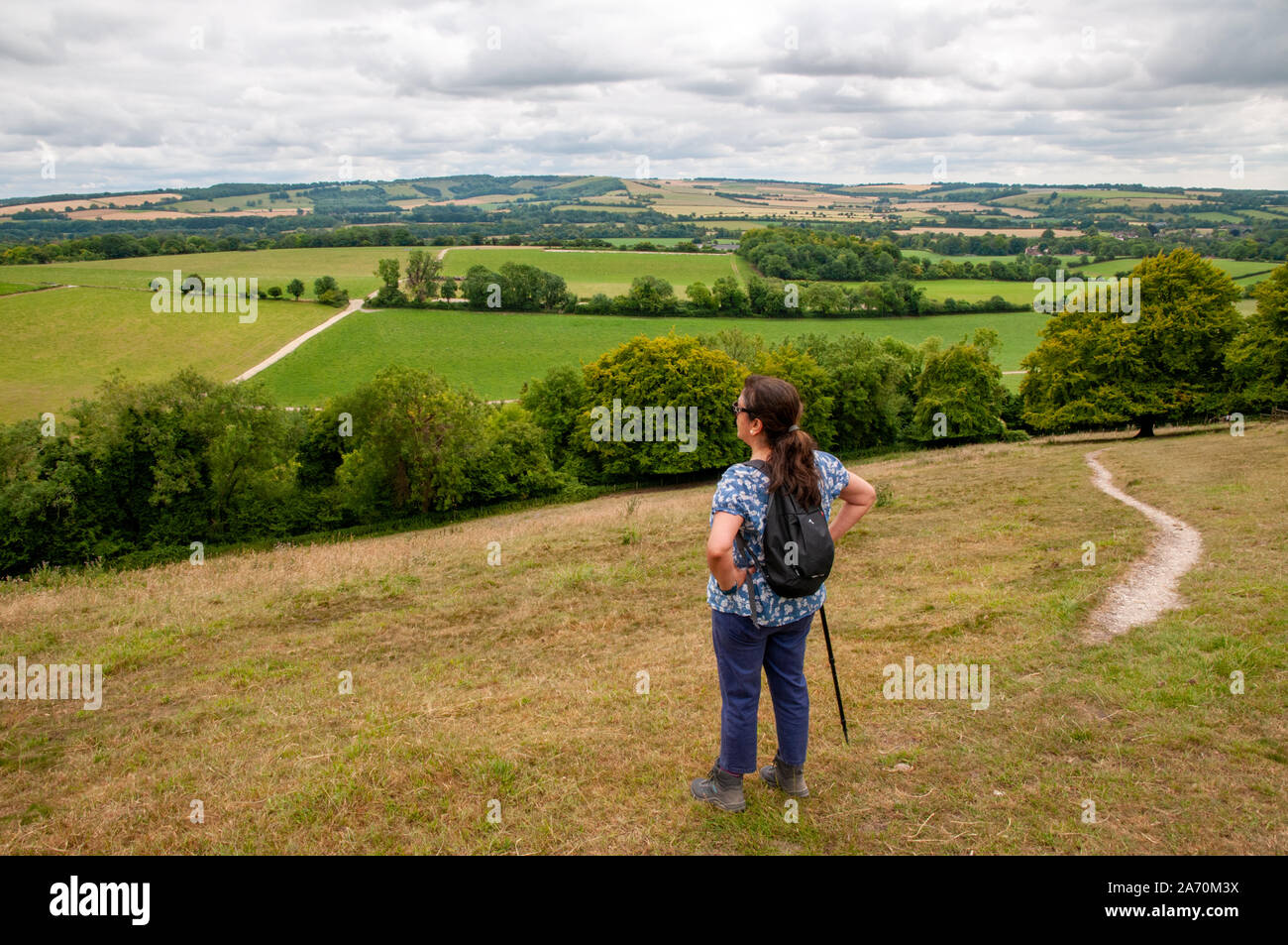 Middle-aged female rambler paused to admire the views of the Hampshire ...