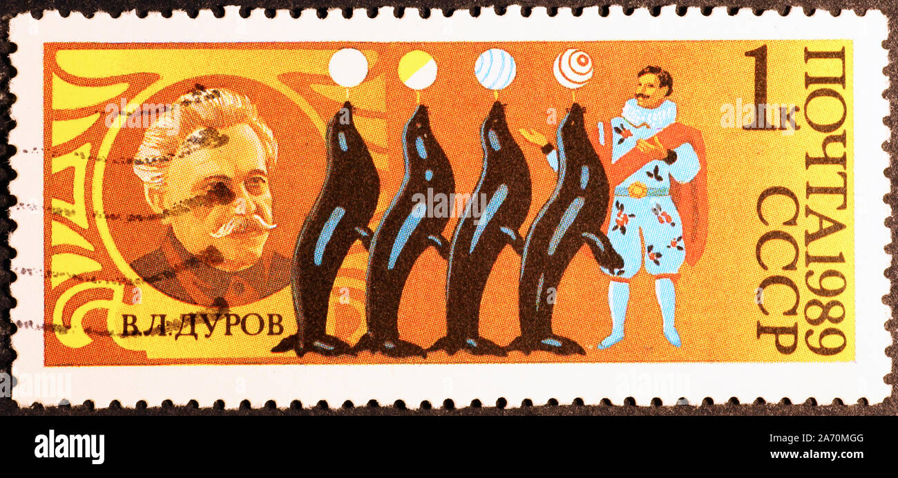 Trained seals hi-res stock photography and images - Alamy