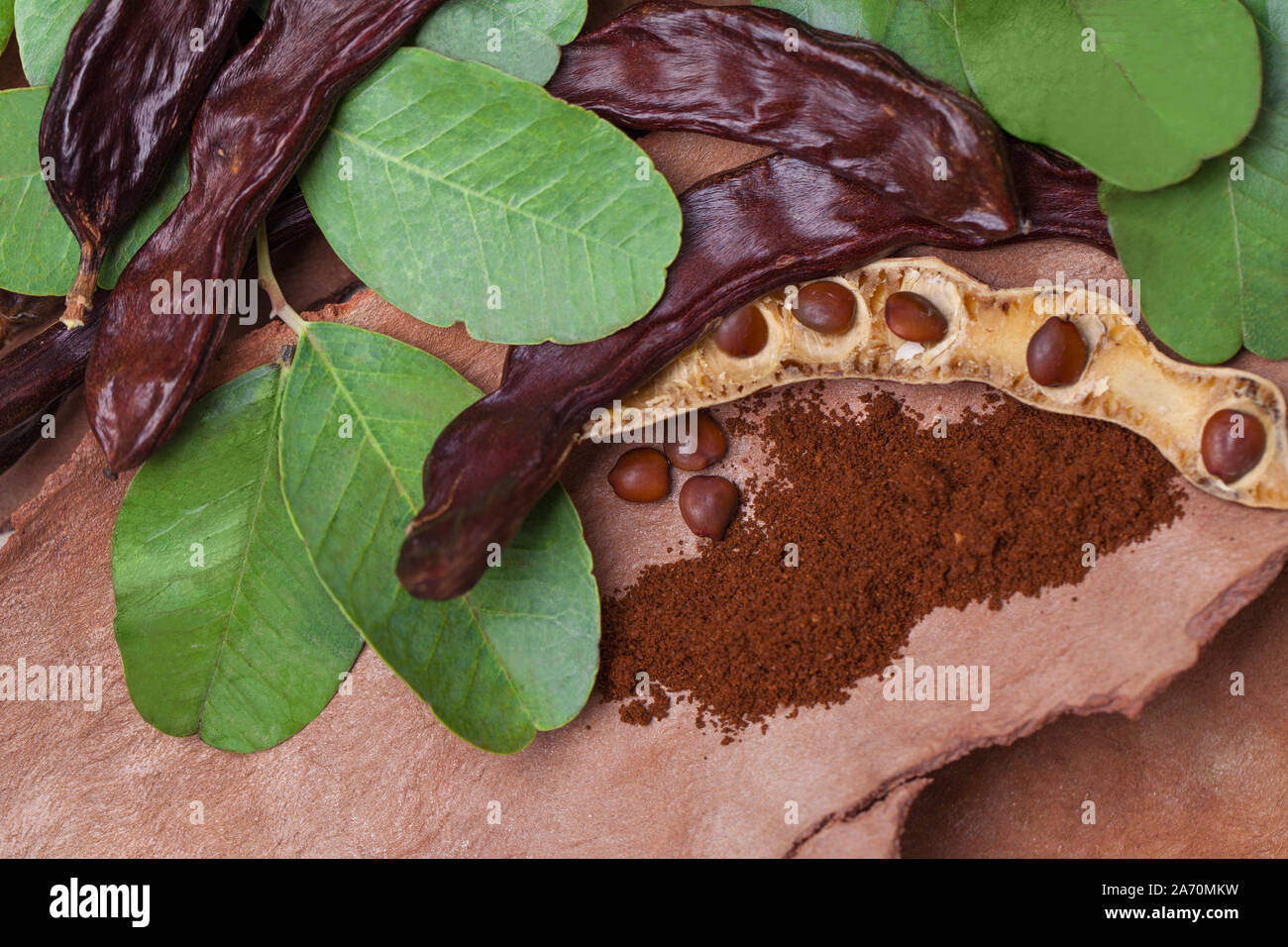 Carob. Organic carob pods with seeds and leaves on tree bark table ...
