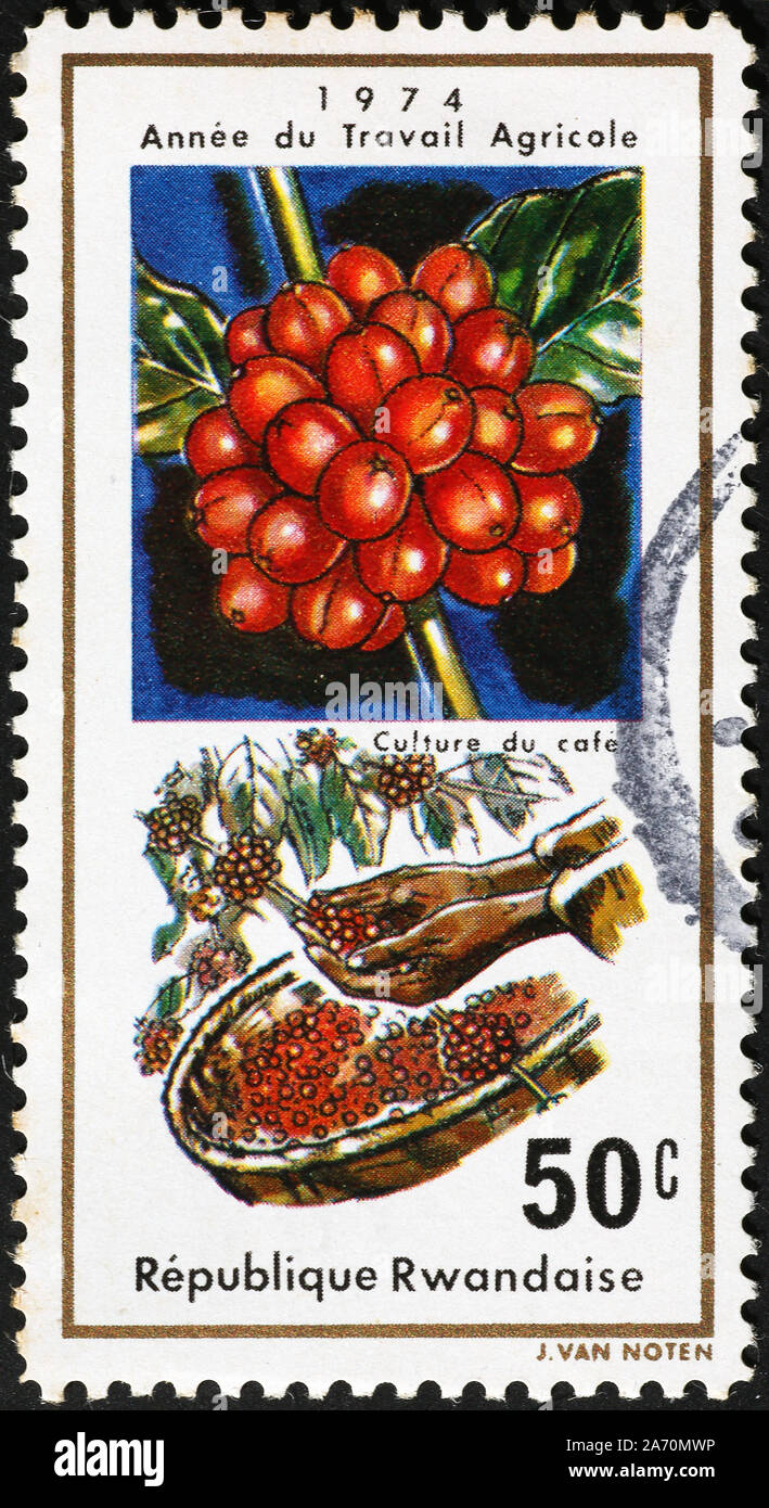 Rwanda coffee plantation hi-res stock photography and images - Alamy