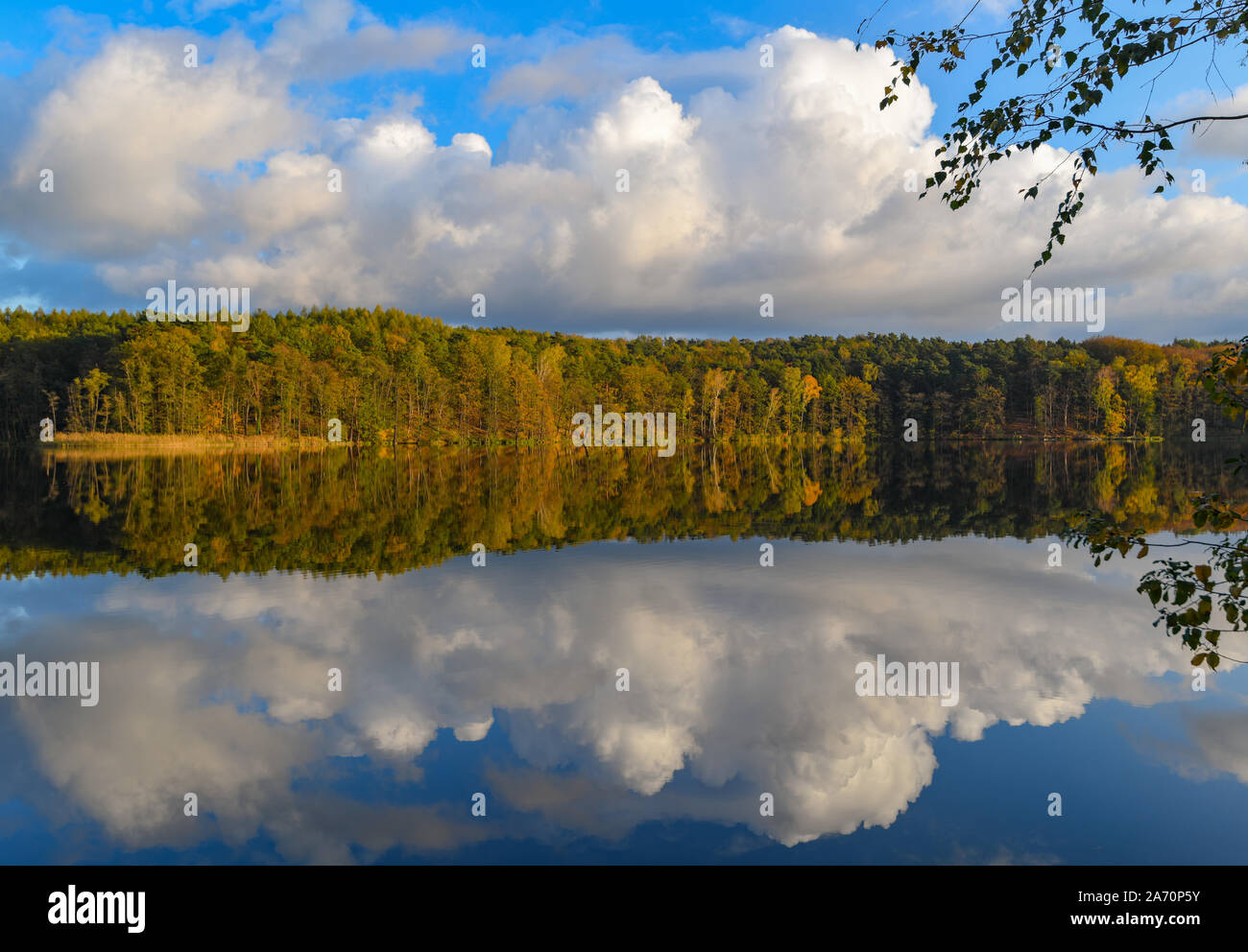 29 October 2019, Brandenburg, Treplin: The autumnally colourful ...