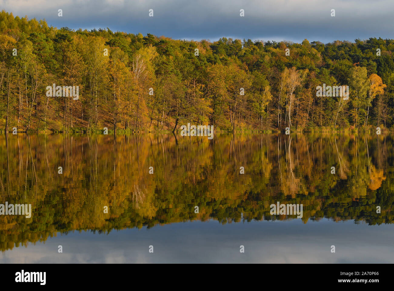 29 October 2019, Brandenburg, Treplin: The autumnally colourful ...