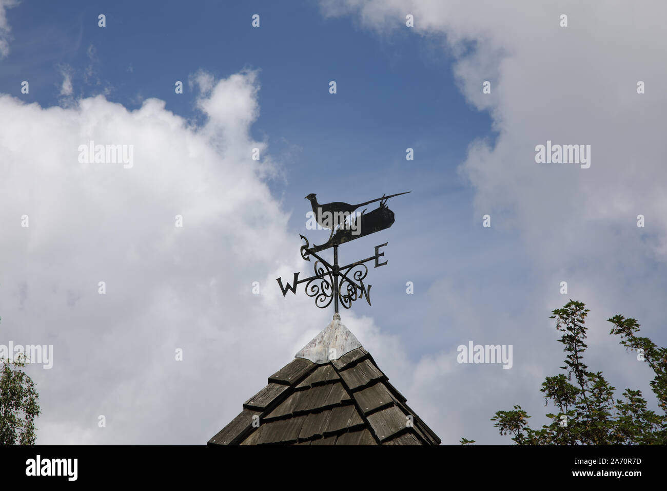 Wind vane bird hi-res stock photography and images - Alamy