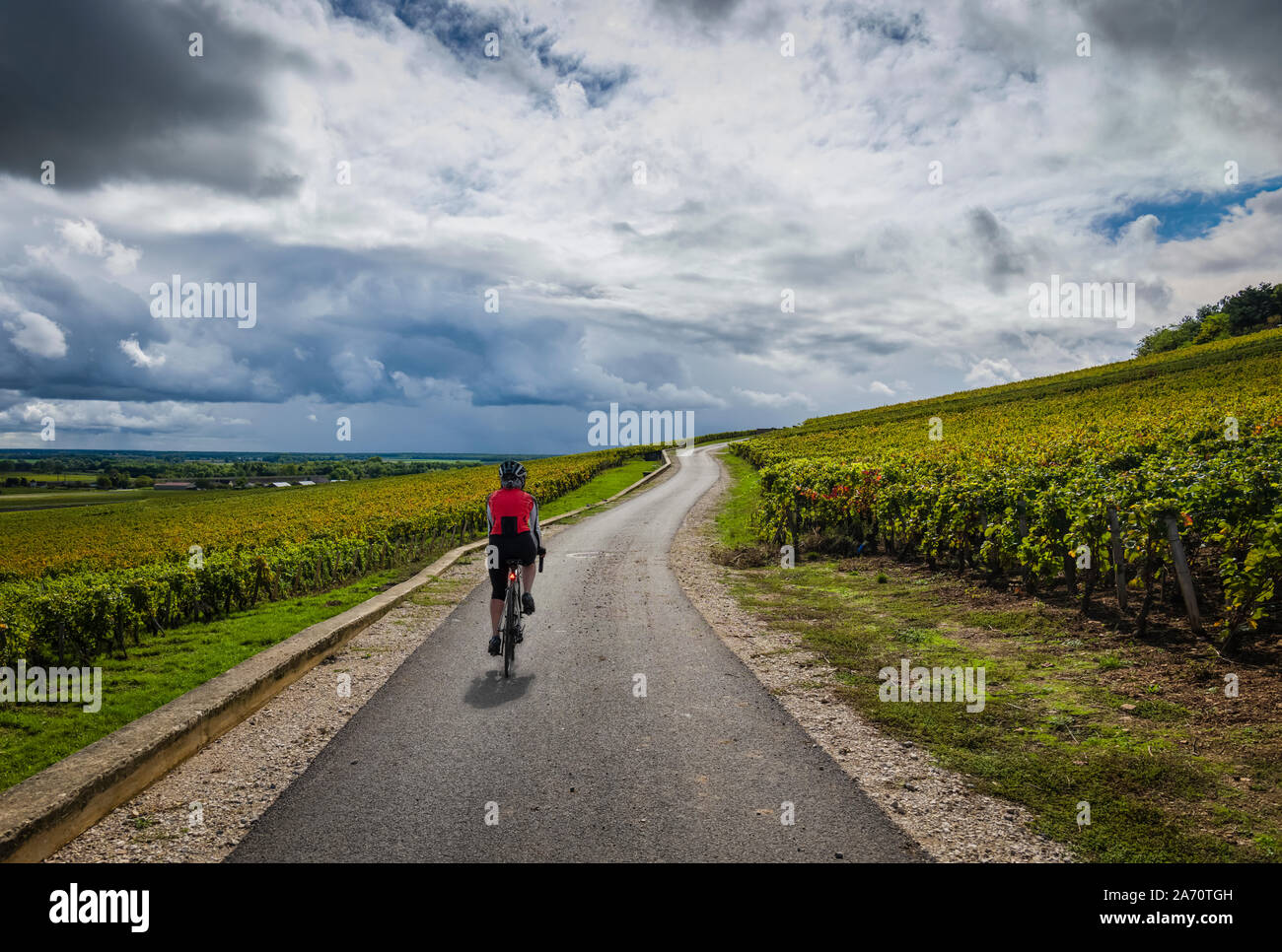 Mature female cyclist riding the green cycle route through the Cote de ...
