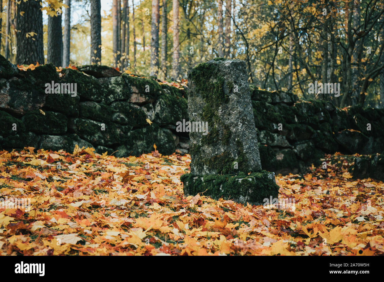Close up view of the old tombstone in the cemetery Stock Photo - Alamy