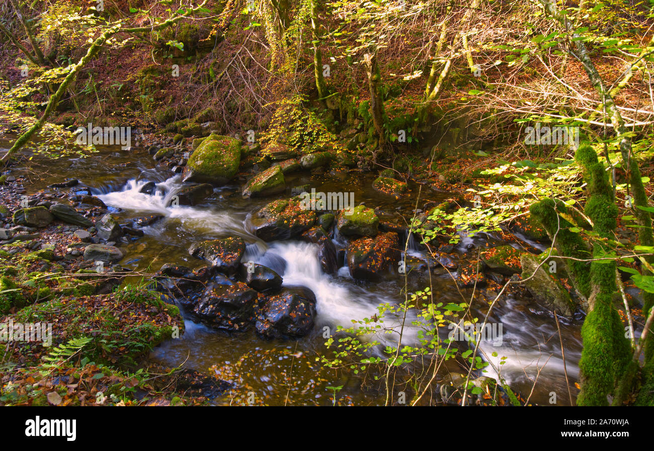 The Birks of Aberfeldy Stock Photo - Alamy