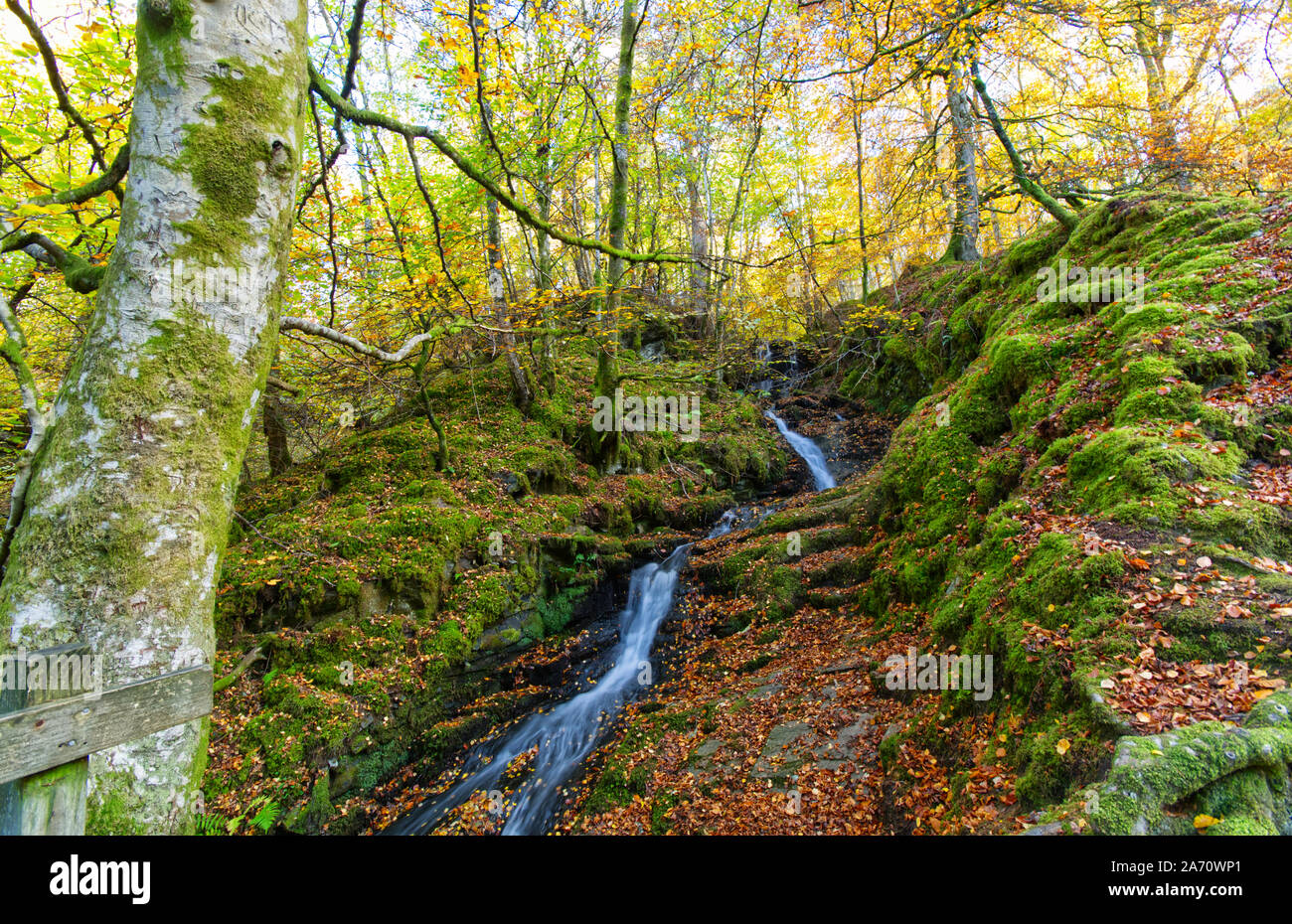 The Birks of Aberfeldy Stock Photo - Alamy