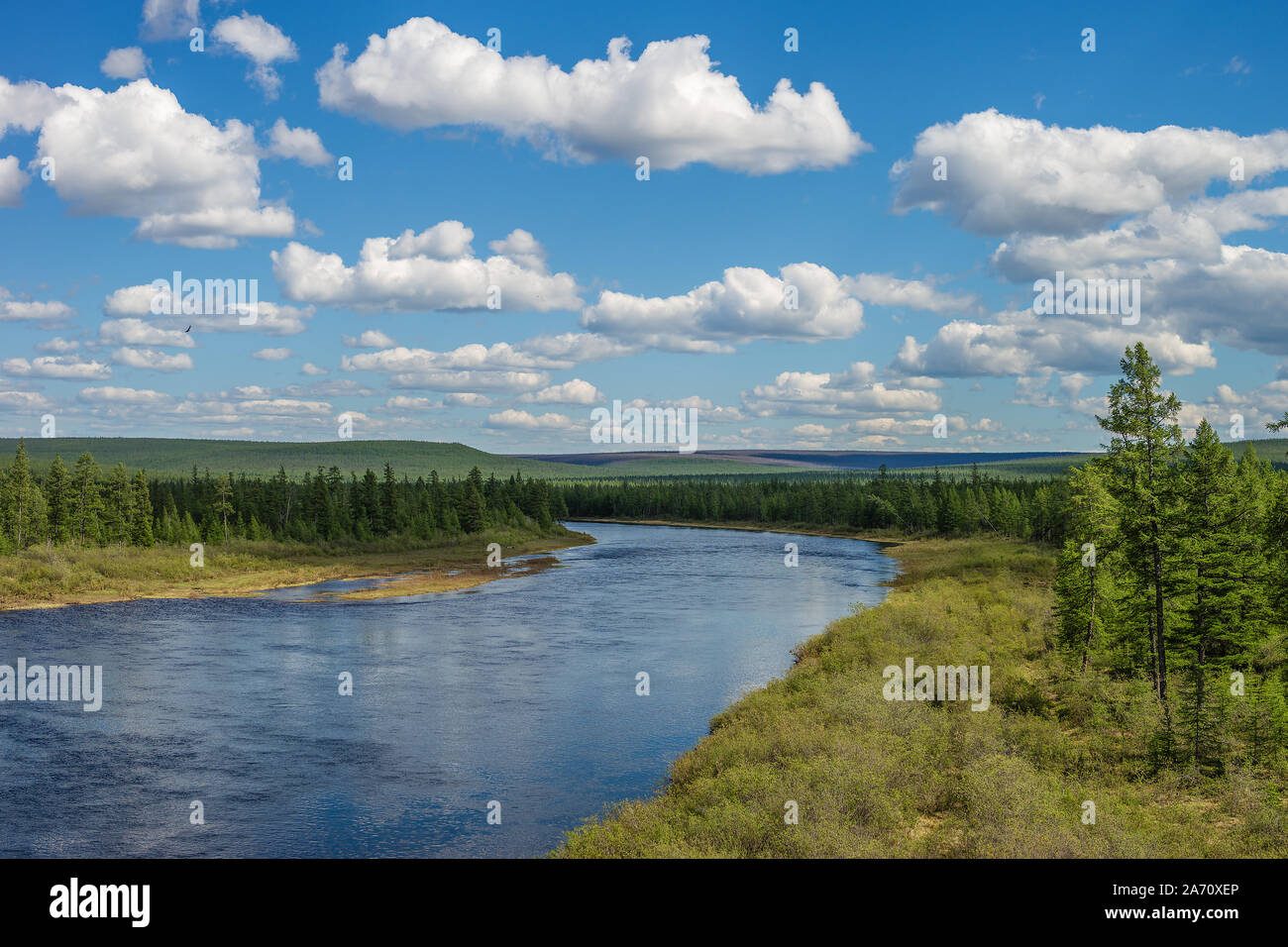 summer landscape on the river bank with beautiful clouds and sunset ...