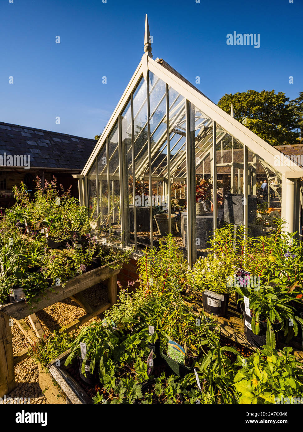 greenhouse conservatory garden Stock Photo - Alamy