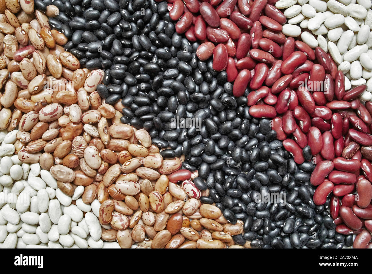 some varieties of beans: black turtle ; red rajma;pinto ; white Stock ...