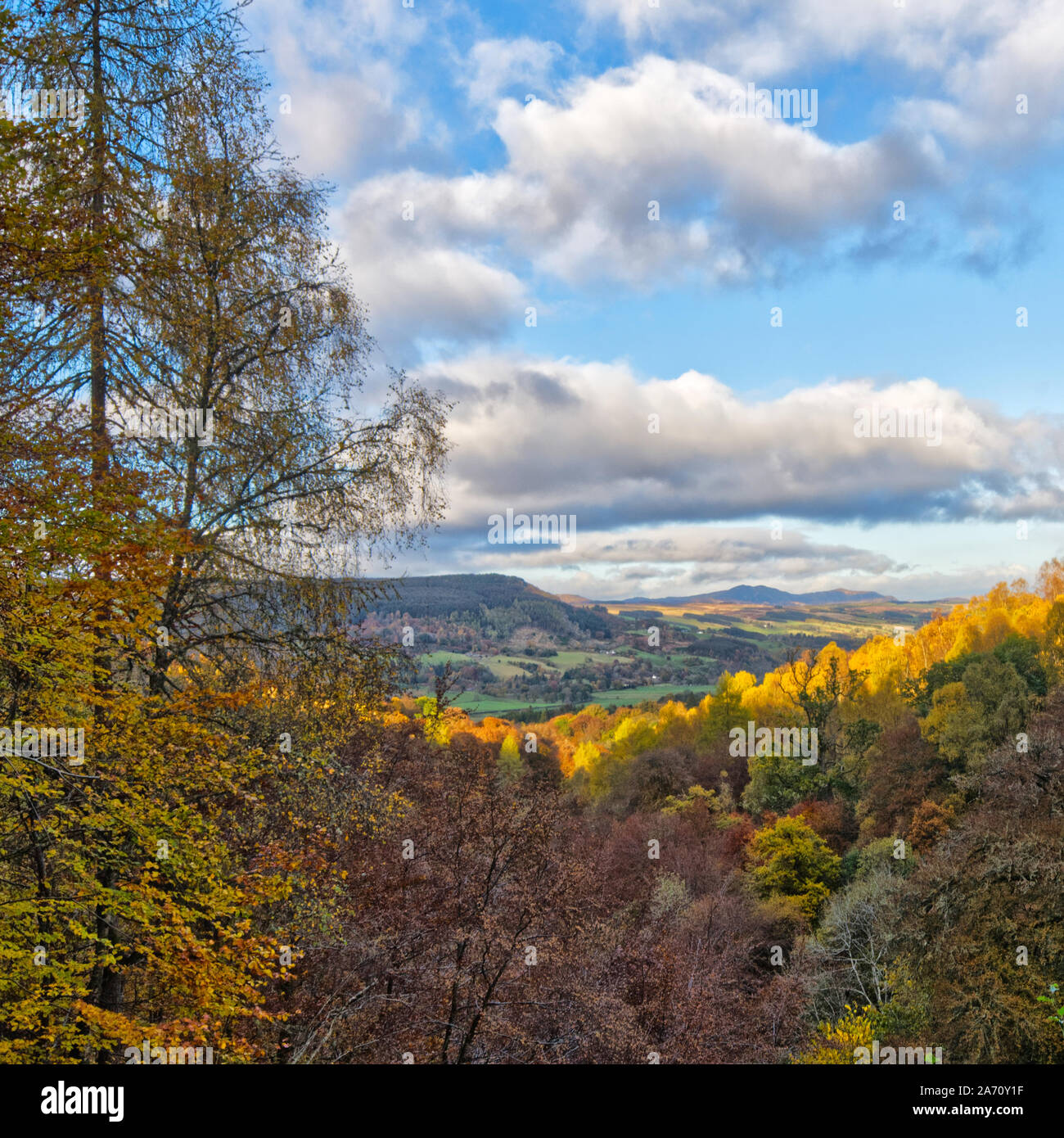 The Birks of Aberfeldy Stock Photo - Alamy