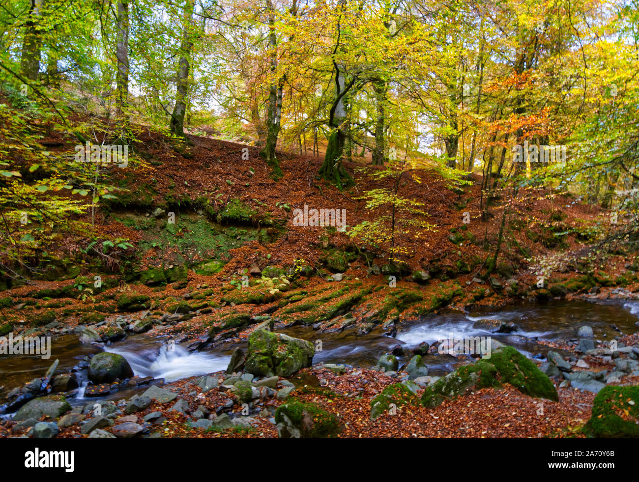 The Birks of Aberfeldy Stock Photo - Alamy