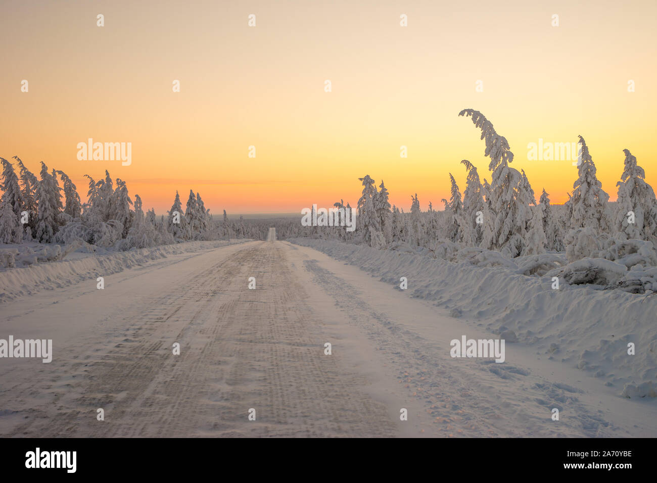 Winter scene. Snowscape. Forest, sunset, trees Stock Photo - Alamy