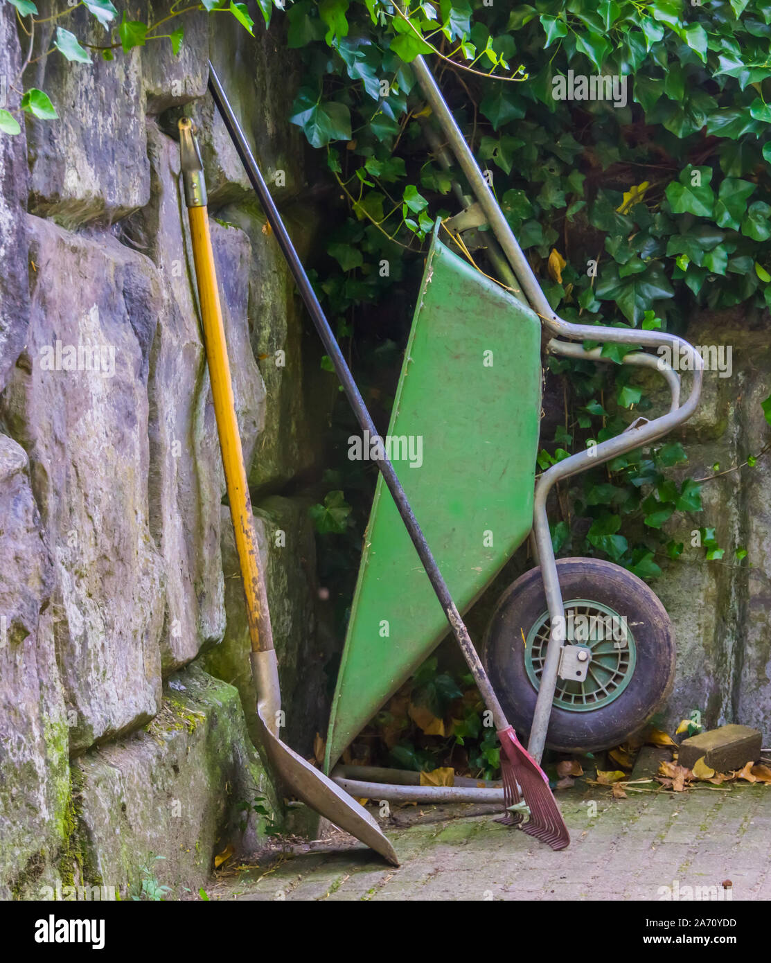 Basic gardening equipment, a wheelbarrow with a shovel and rigid ...