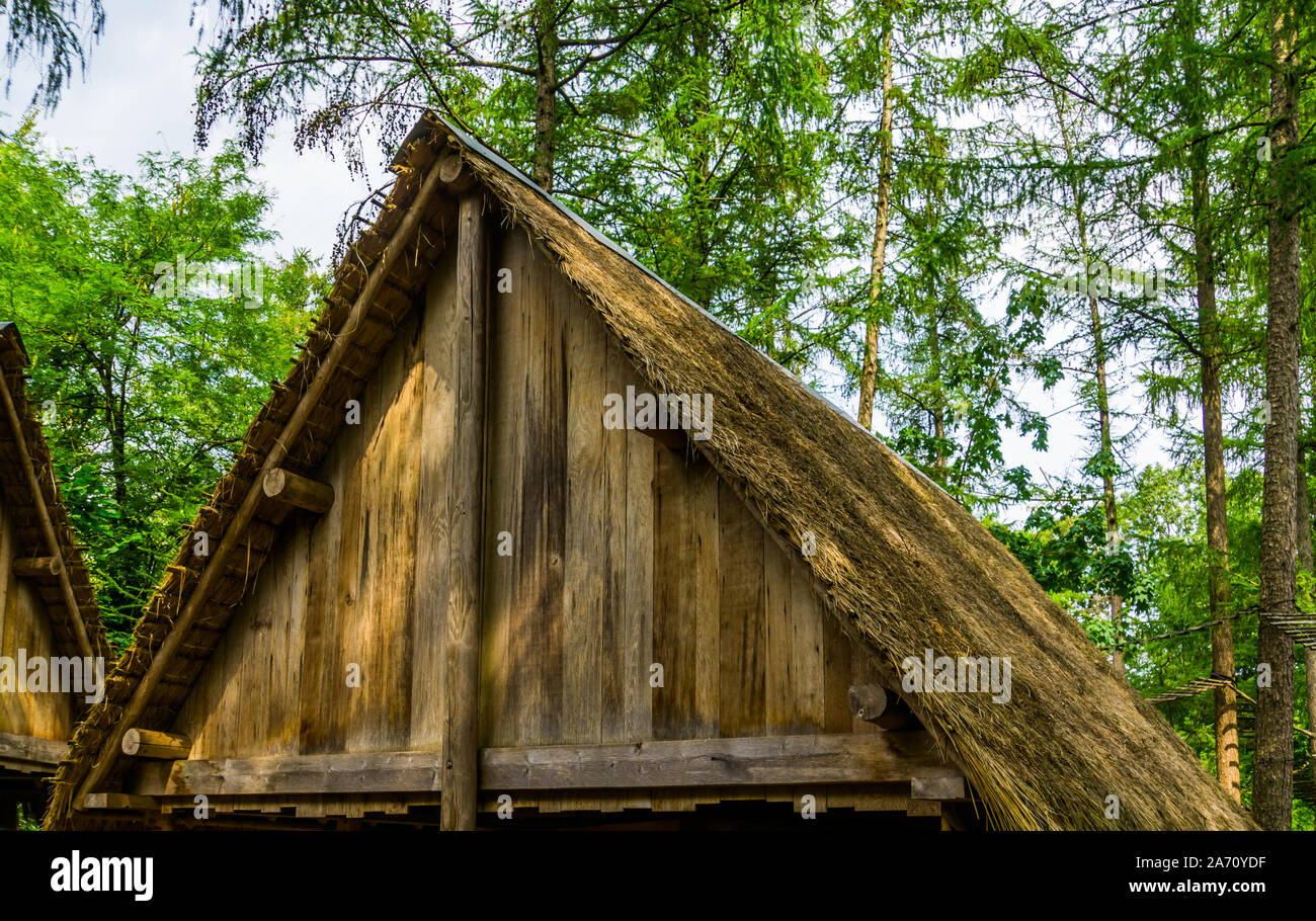 old medieval looking wooden rooftop with a thatched roof, historical ...