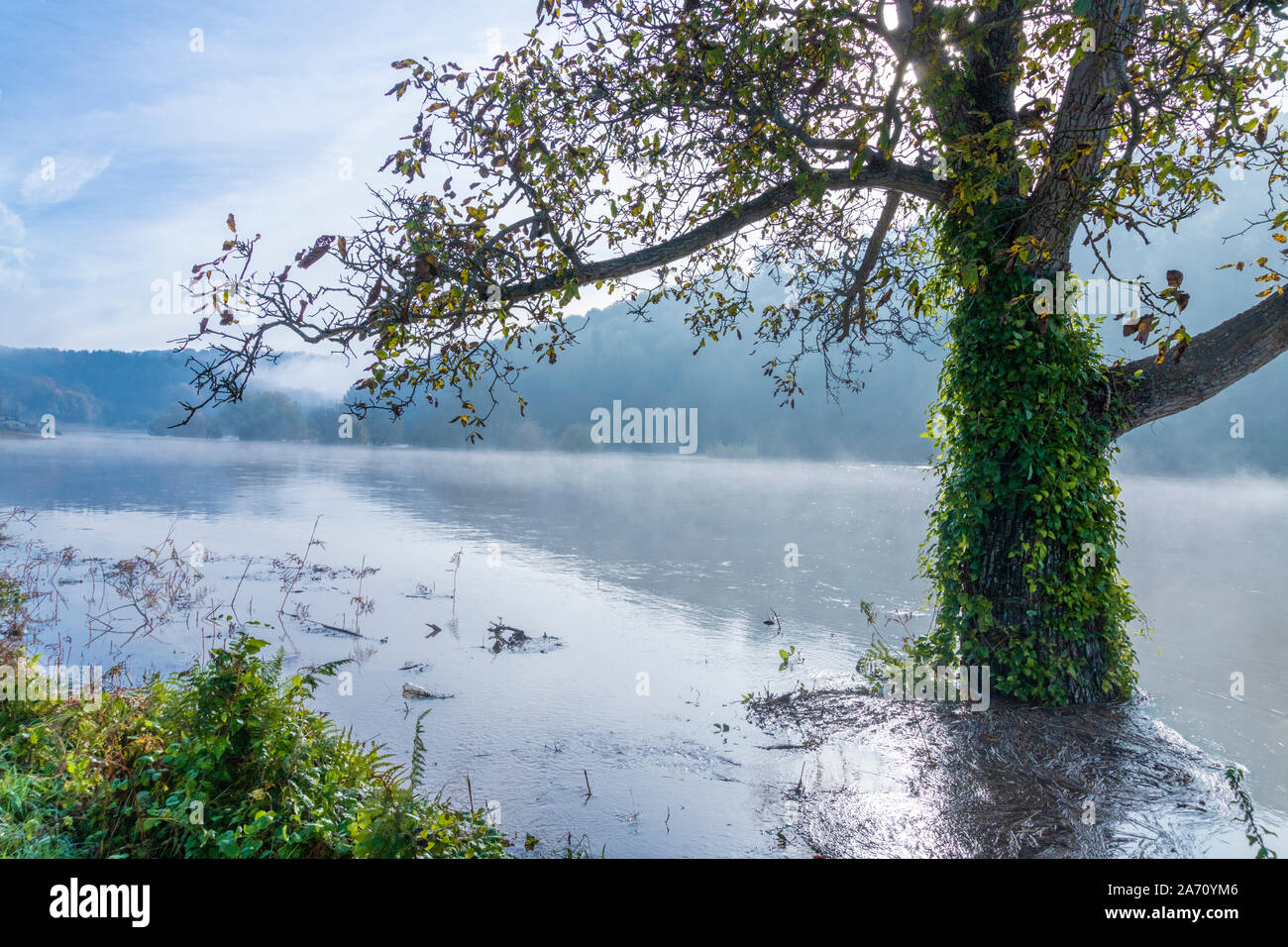 Mist rising over river hi-res stock photography and images - Alamy