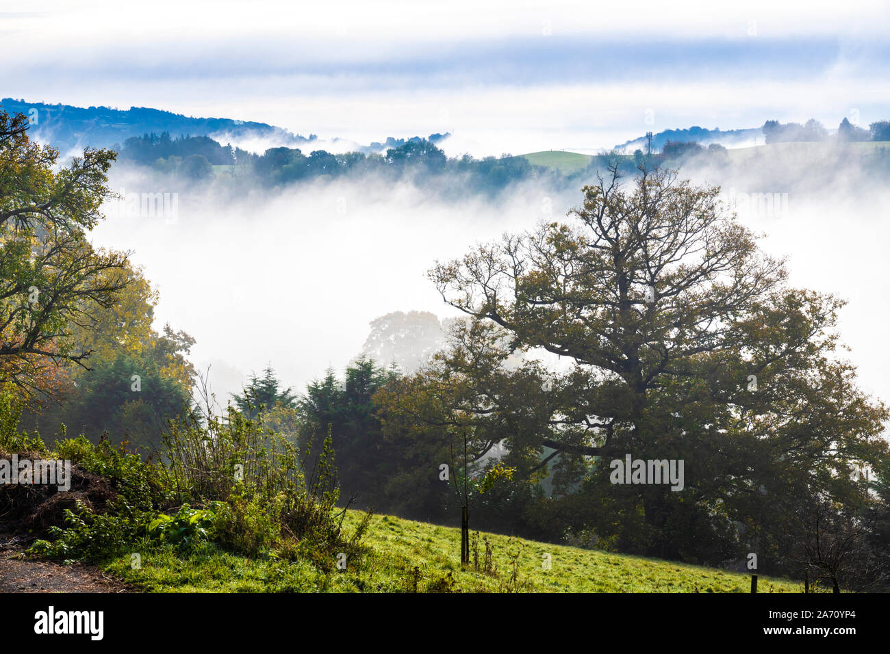 Mist landscapes hi-res stock photography and images - Alamy