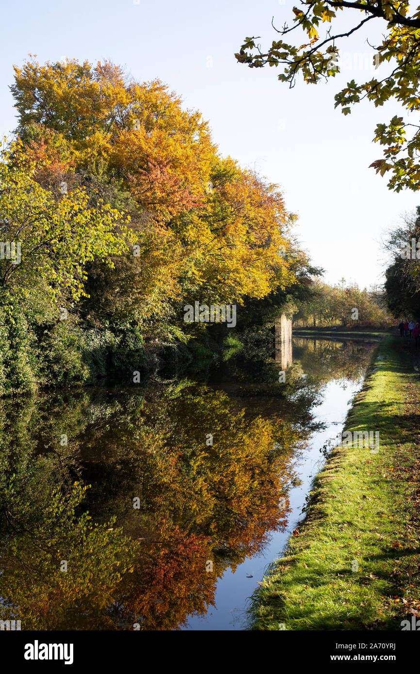 Colourful Autumn trees and foliage alongside the Calder & Hebble canal ...
