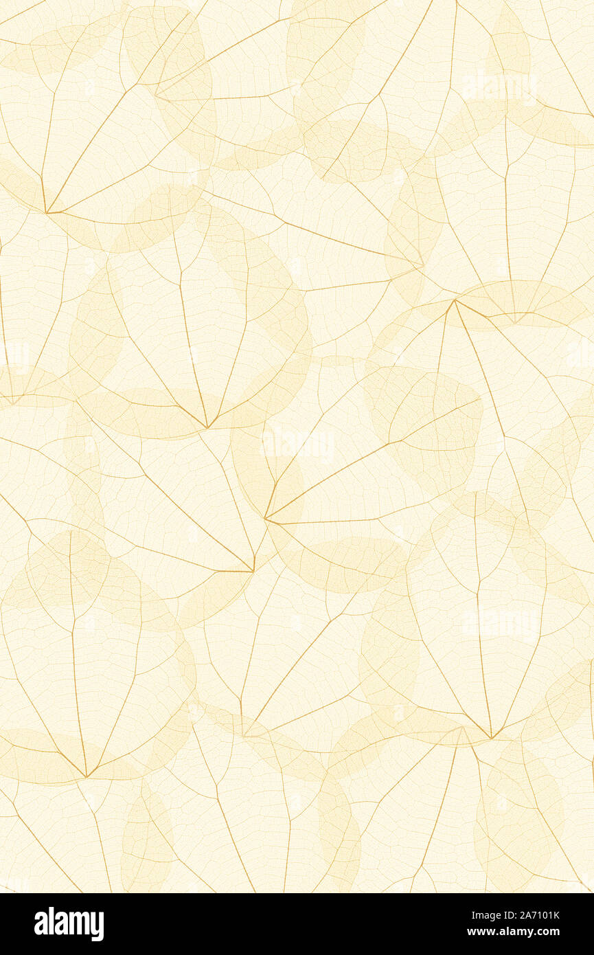 Beige transparent leaves background Stock Photo - Alamy