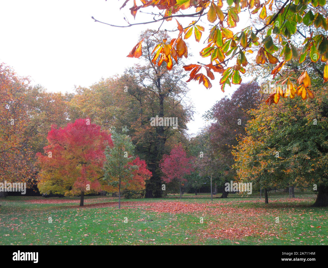 London, UK. 28th Oct, 2019. Trees in London's Hyde Park give some real ...