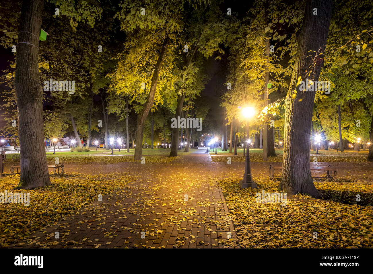 City night park in autumn with paths strewn with fallen yellow leaves ...