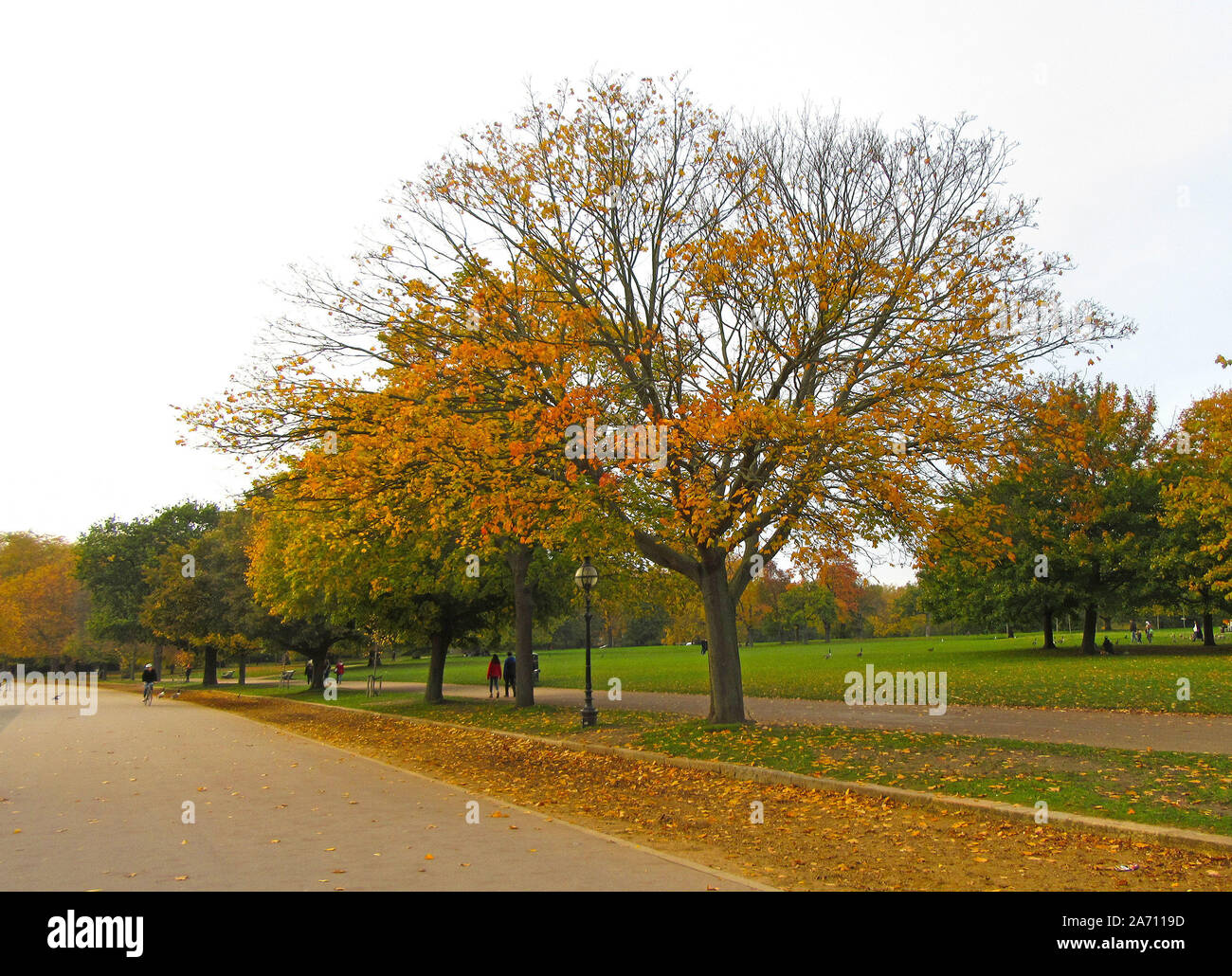 London, UK. 28th Oct, 2019. Trees in London's Hyde Park give some real ...