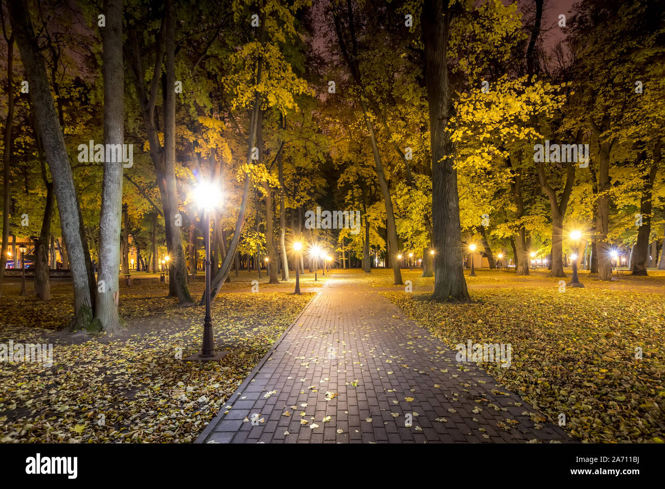 City night park in autumn with paths strewn with fallen yellow leaves ...