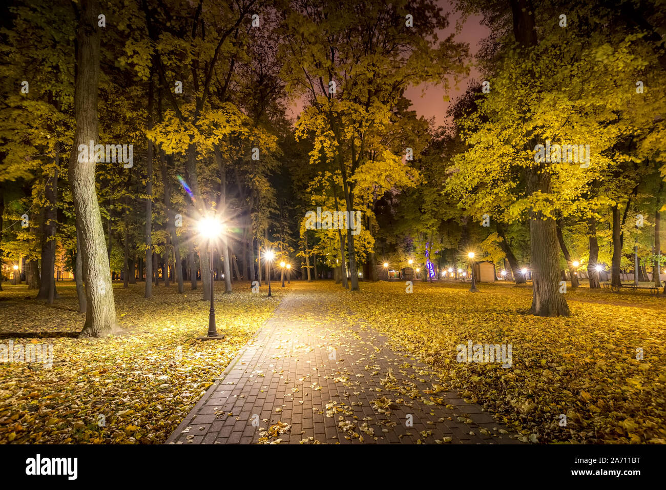 City night park in autumn with paths strewn with fallen yellow leaves ...
