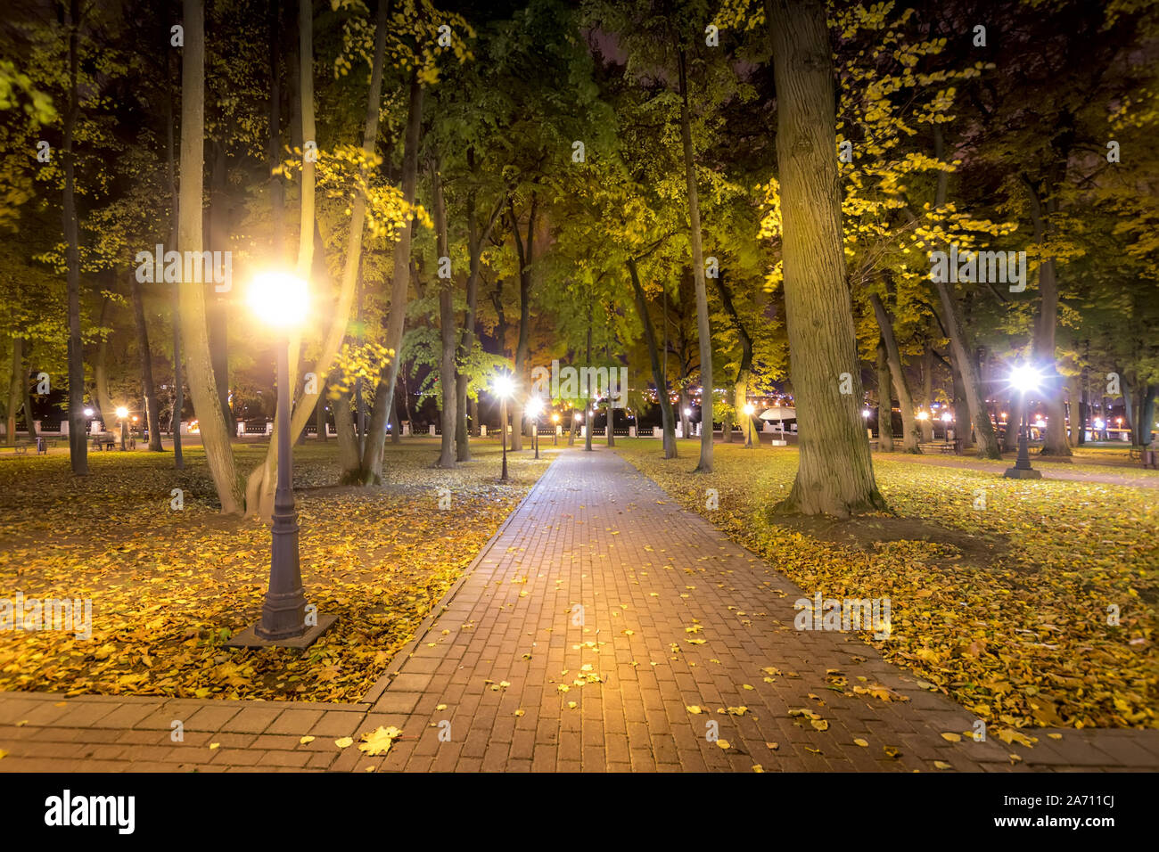 City night park in autumn with paths strewn with fallen yellow leaves ...