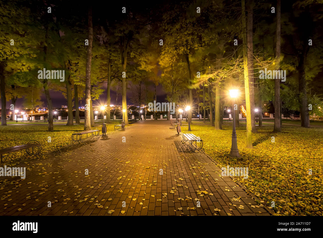 City night park in autumn with paths strewn with fallen yellow leaves ...