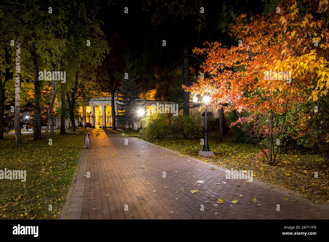 City night park in autumn with paths strewn with fallen yellow leaves ...