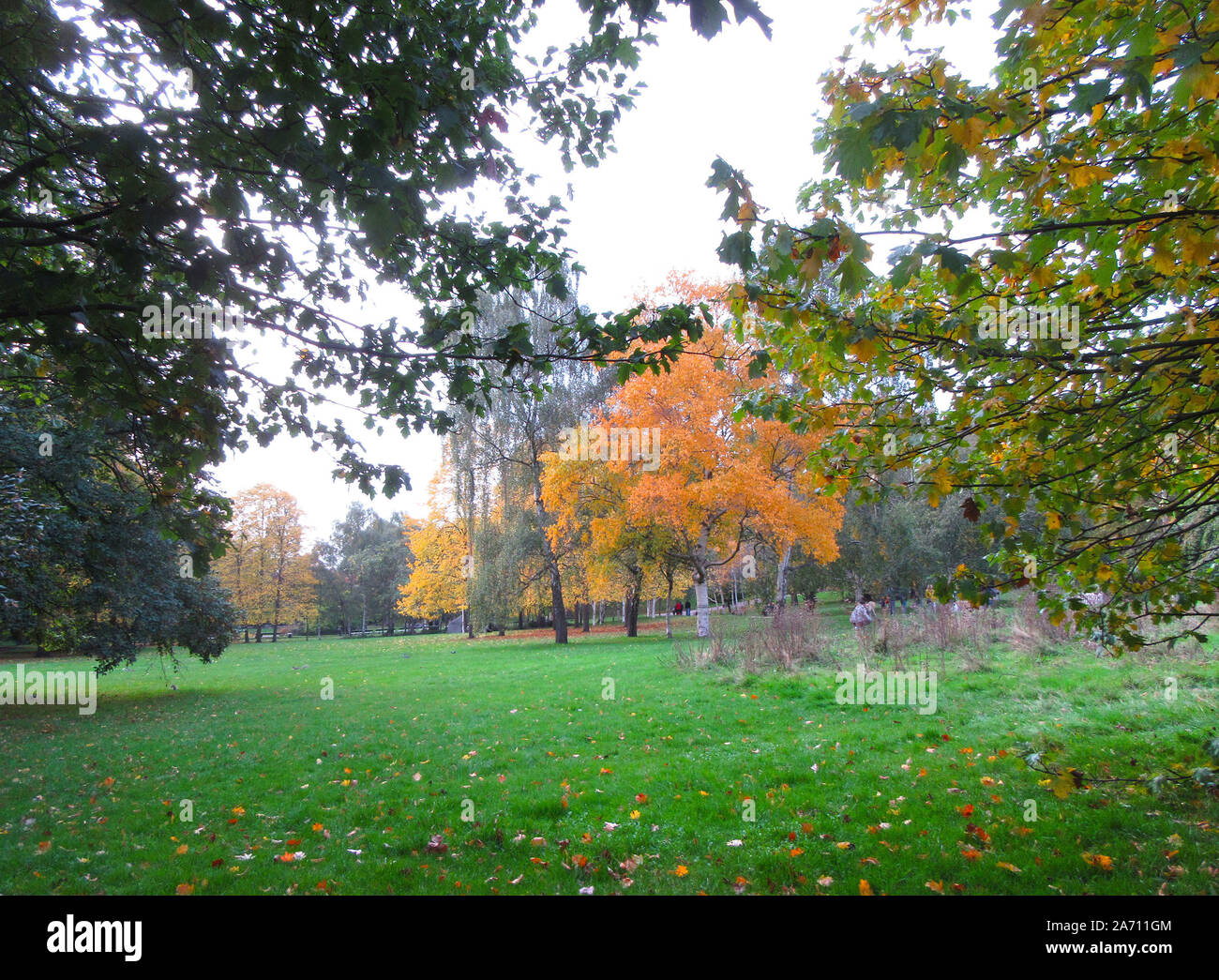 London, UK. 28th Oct, 2019. Trees in London's Hyde Park give some real ...