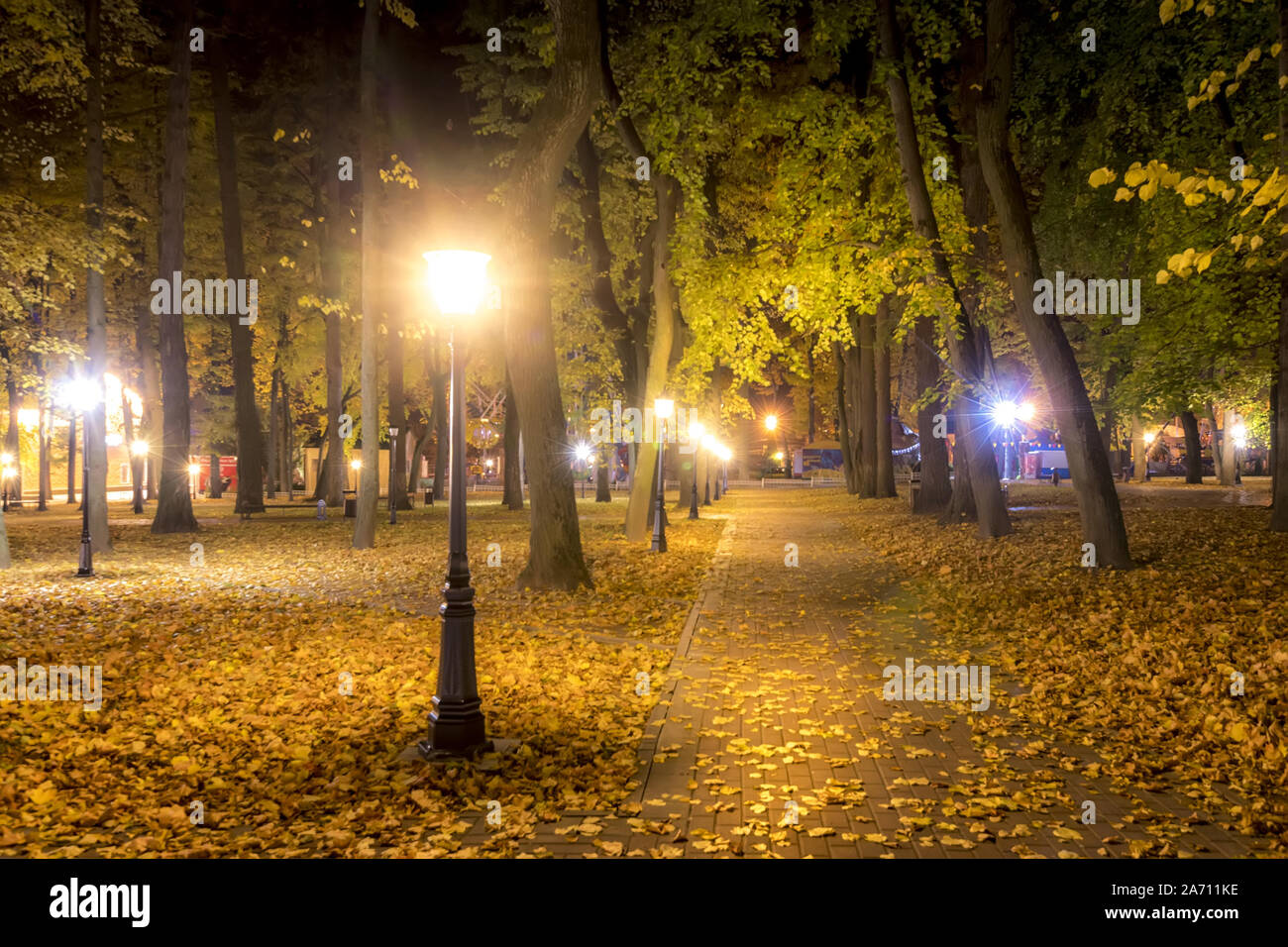 City night park in autumn with paths strewn with fallen yellow leaves ...