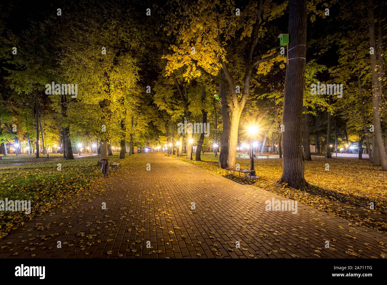 City night park in autumn with paths strewn with fallen yellow leaves ...