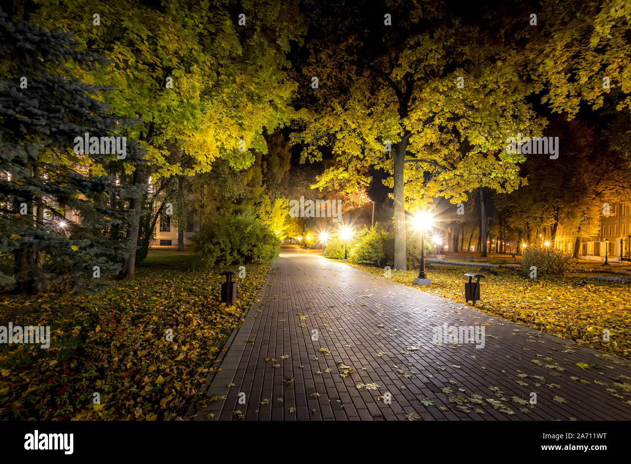 City night park in autumn with paths strewn with fallen yellow leaves ...