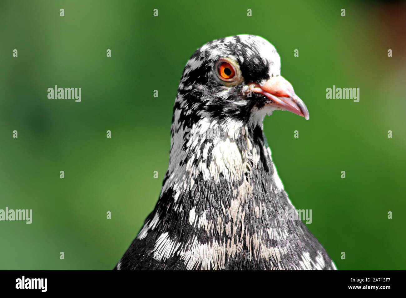 Pockmark hi-res stock photography and images - Alamy