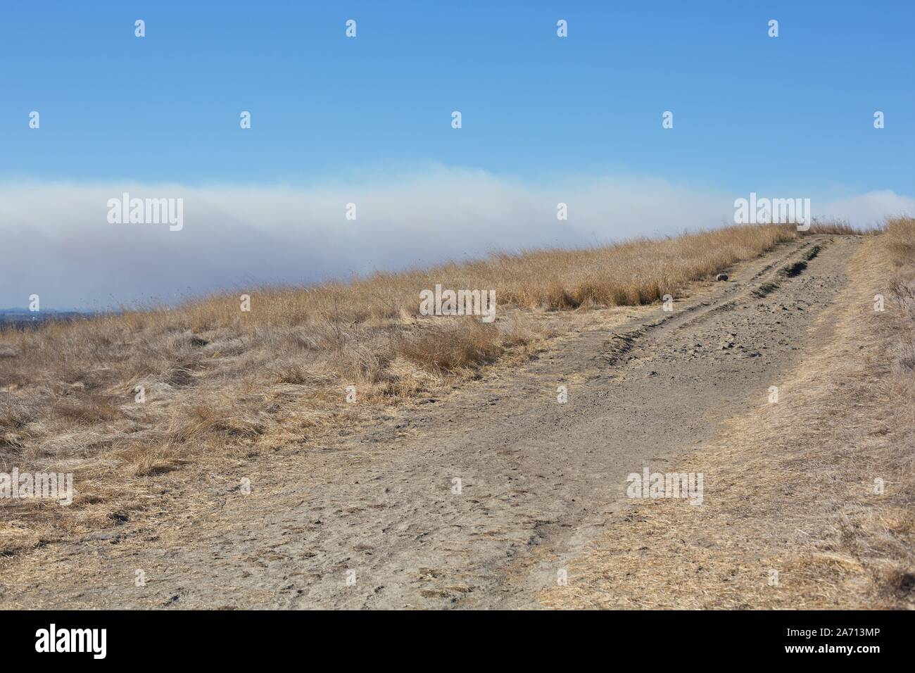 Dry dead grasses hi-res stock photography and images - Alamy
