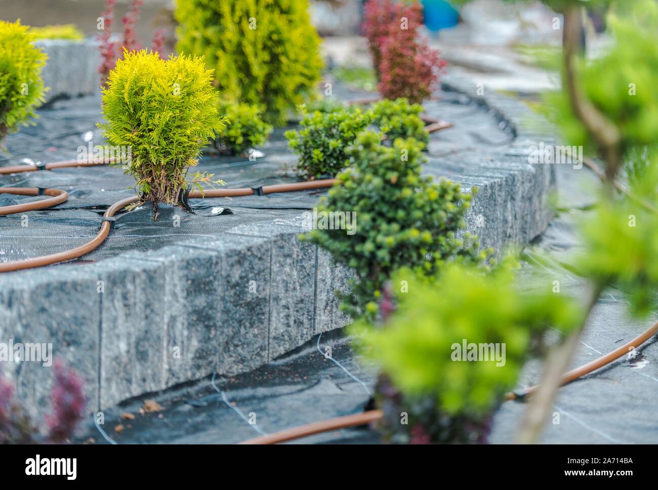 Building Irrigation System in Newly Developed Garden. Closeup Photo ...
