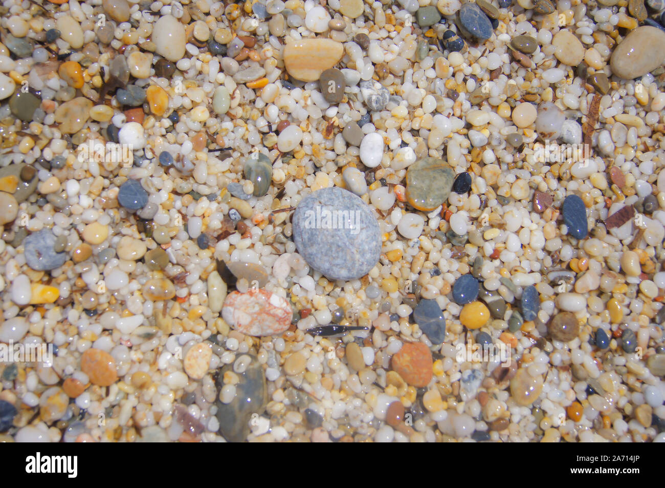 Macro close up of coarse rice-sized multi-coloured wet shiny sand ...