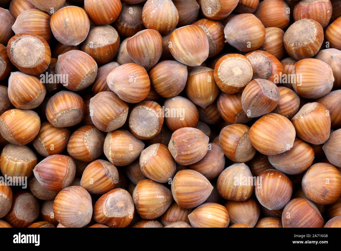 Noisettes hi-res stock photography and images - Alamy