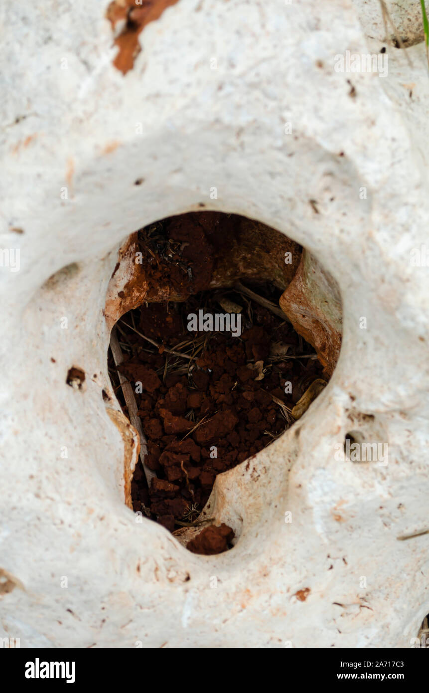 Lump of dirt hi-res stock photography and images - Alamy