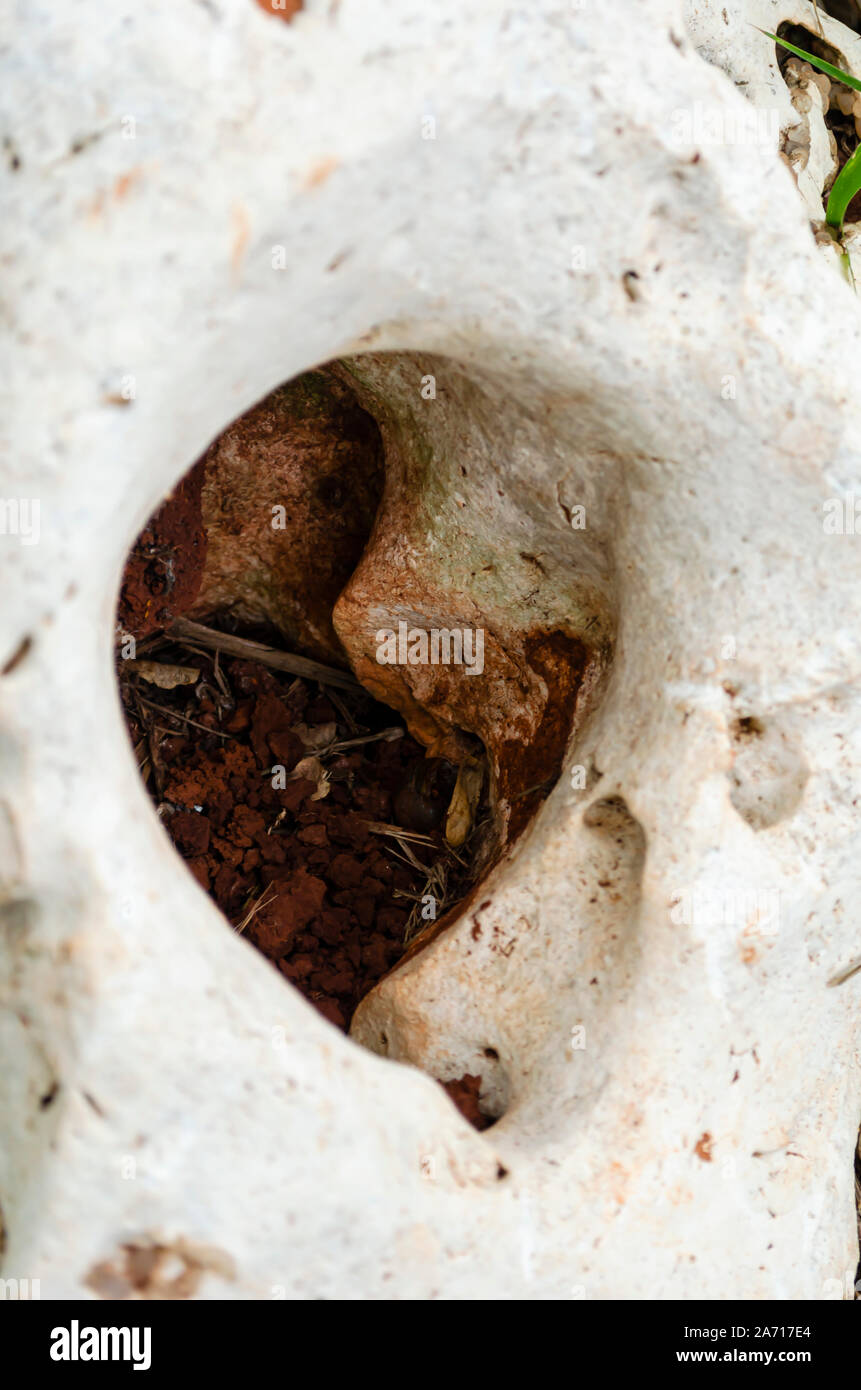 Right Interior Of Stone Hole Stock Photo - Alamy